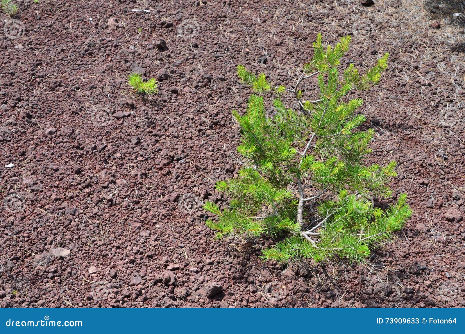 112 Volcano Slag Photos - Free & Royalty-Free Stock Photos from Dreamstime