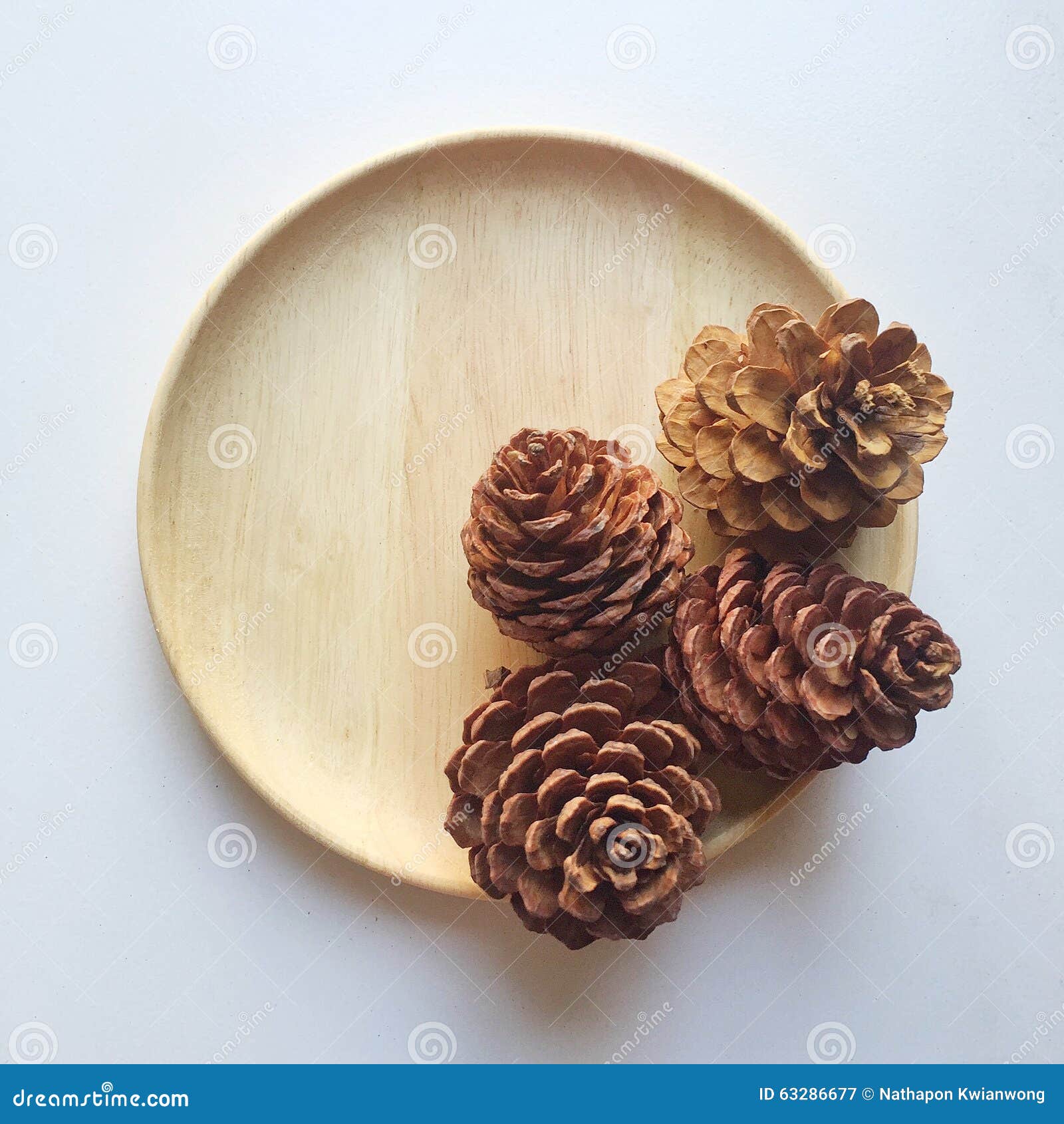Pine seeds in dish stock image. Image of still, seeds - 63286677