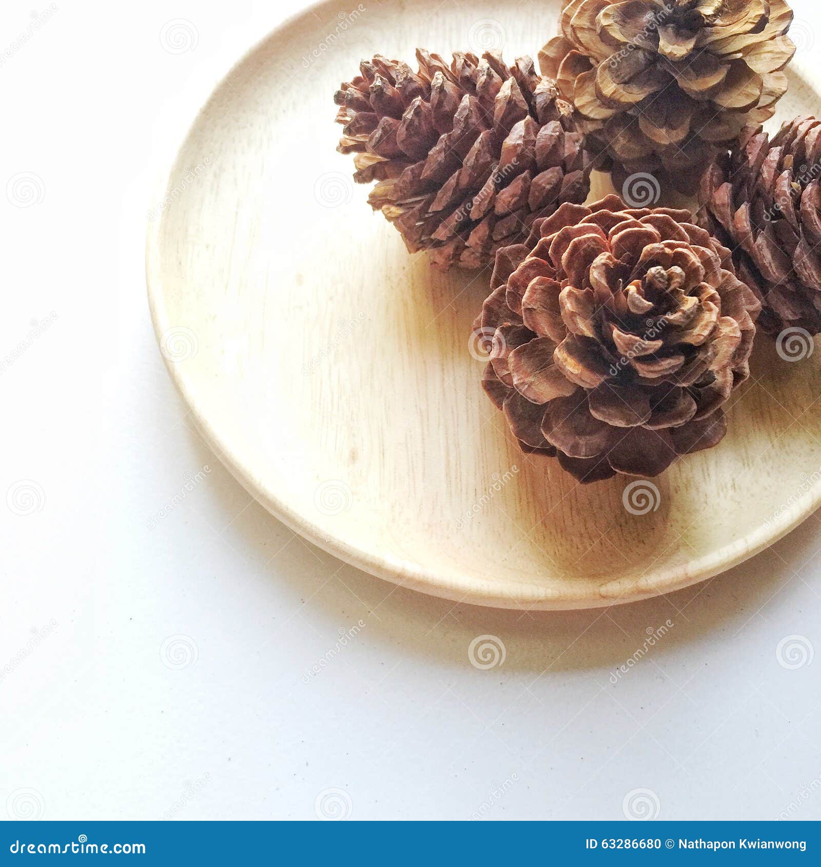 Pine seeds in dish stock photo. Image of seeds, life - 63286680