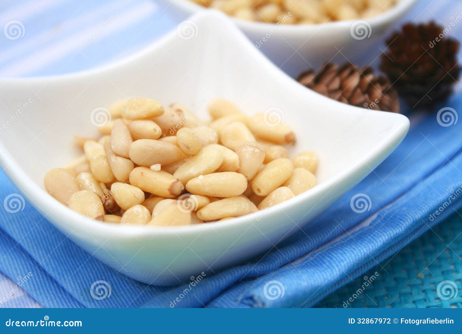 Pine seeds stock photo. Image of gourmet, pine, corns - 32867972