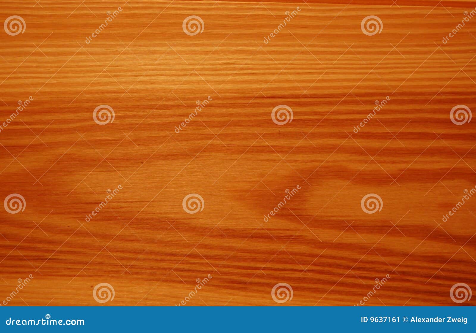 Pine structure stock image. Image of pine, structure, pinus - 9637161