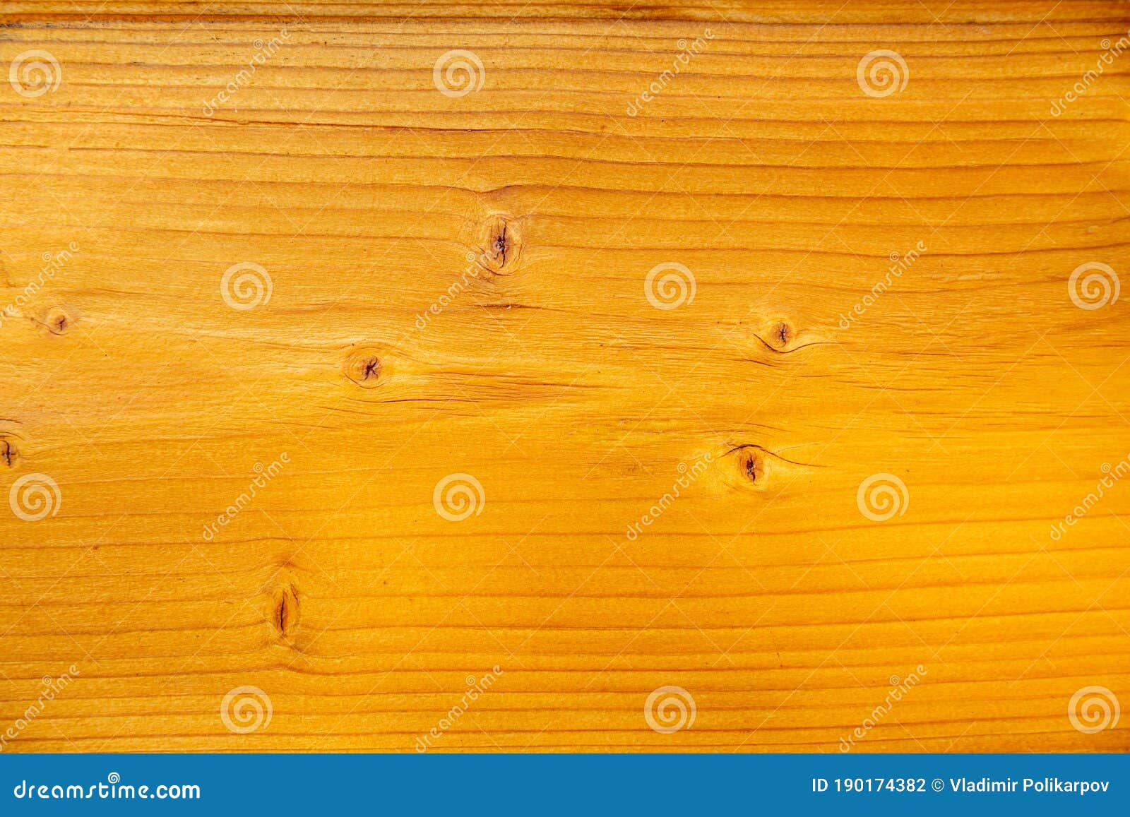 Pine Texture Closeup. Background for Design Stock Photo - Image of ...