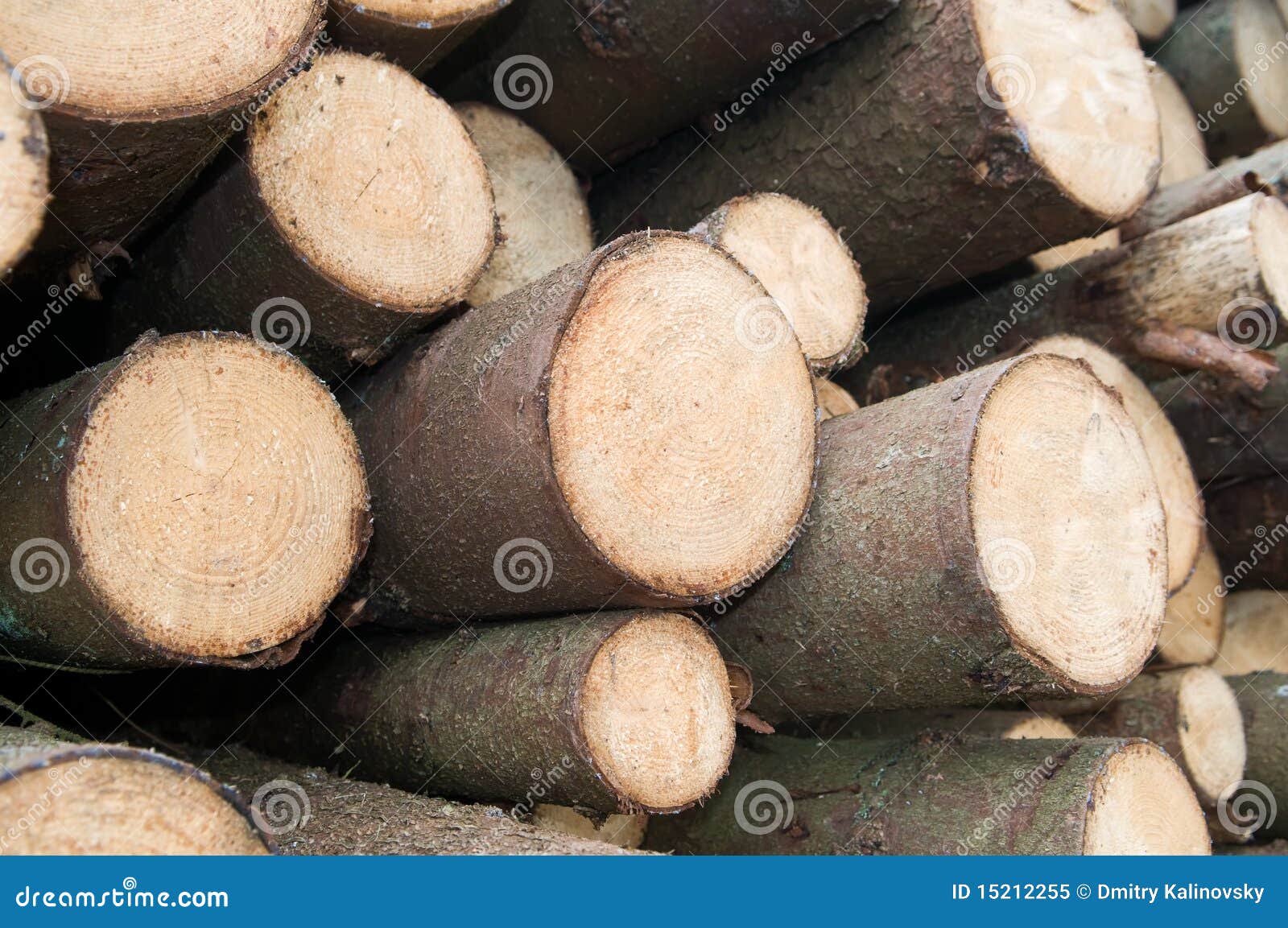 Pine timber stock image. Image of pine, long, tree, timber - 15212255