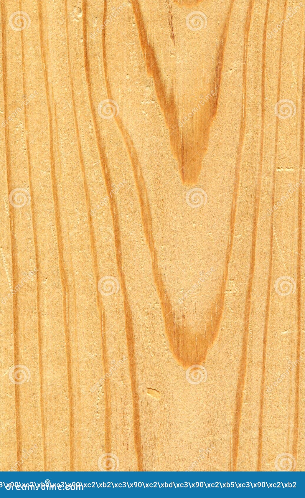 Pine timber stock photo. Image of backgrounds, close - 18763866