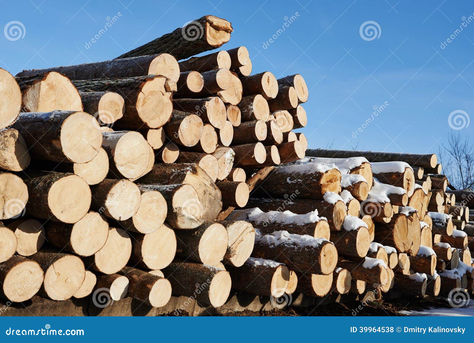 Pine timber background stock photo. Image of balk, rough - 39964538