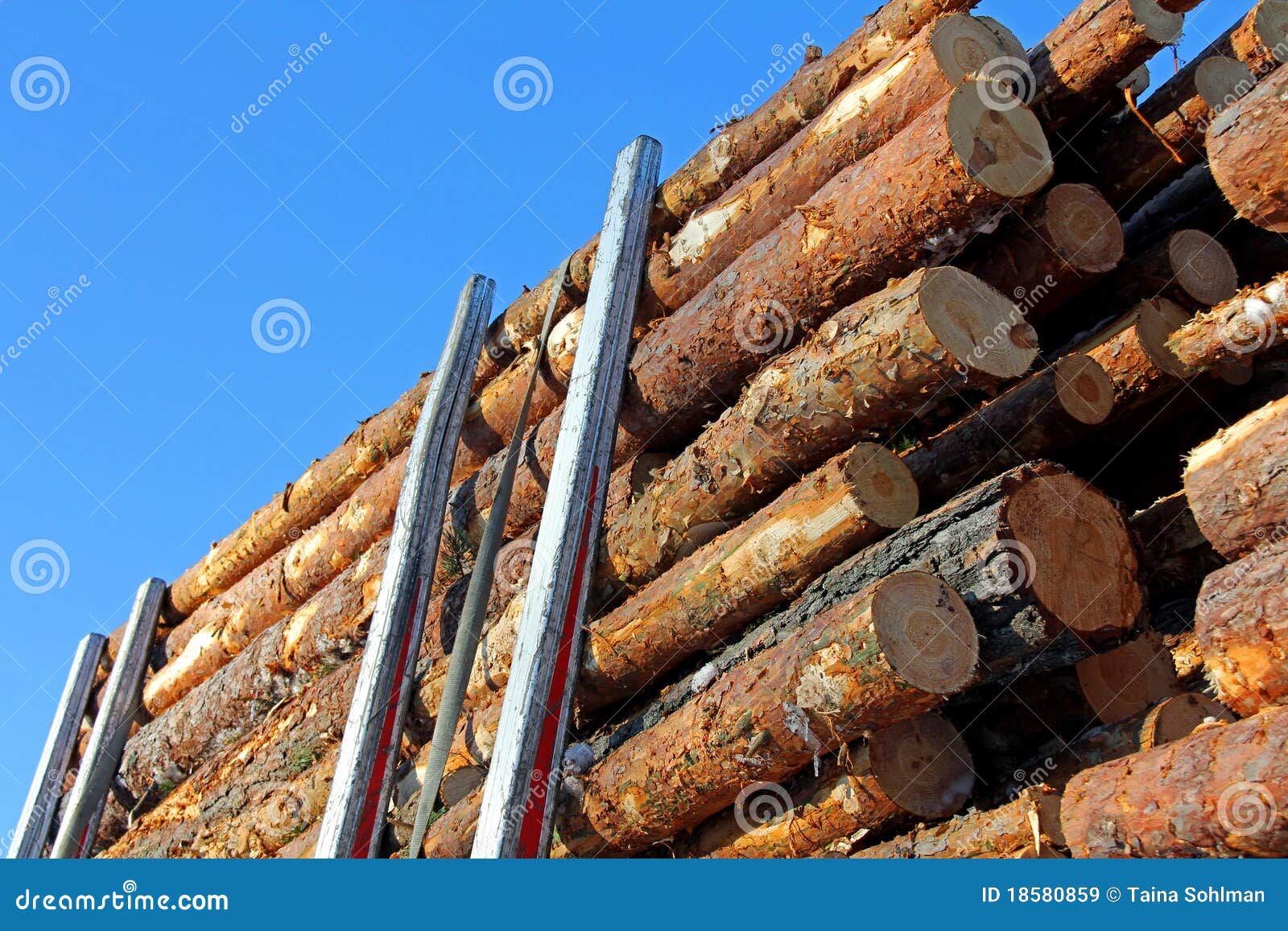 Pine Timber on Logging Trailer Stock Image - Image of energy, highway ...