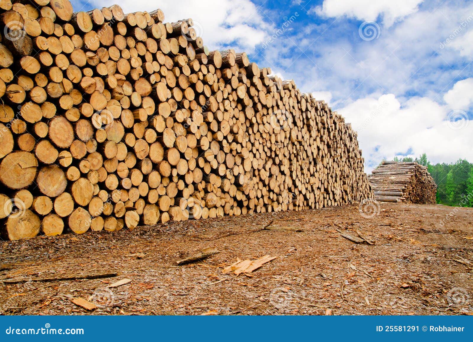 Pine timber stacked stock image. Image of georgia, logs - 25581291