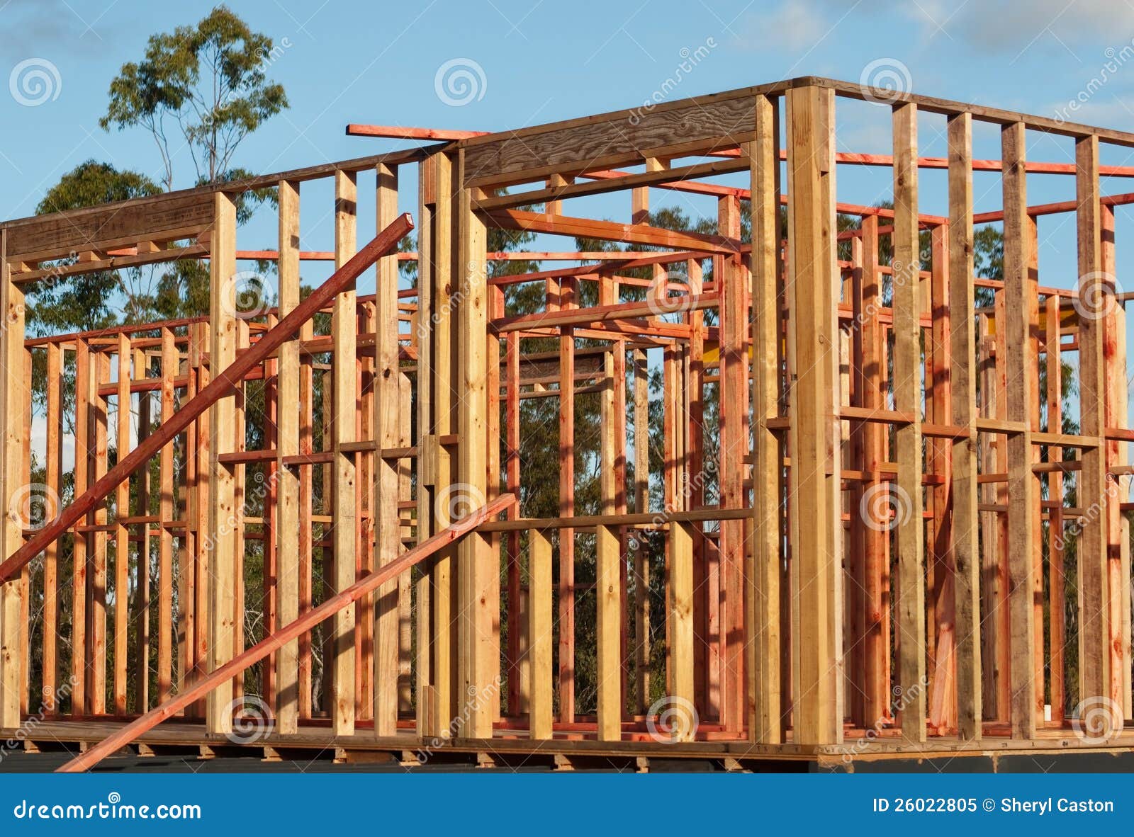 Pine Timber Wall Frames House Structure Stock Image - Image of exterior ...