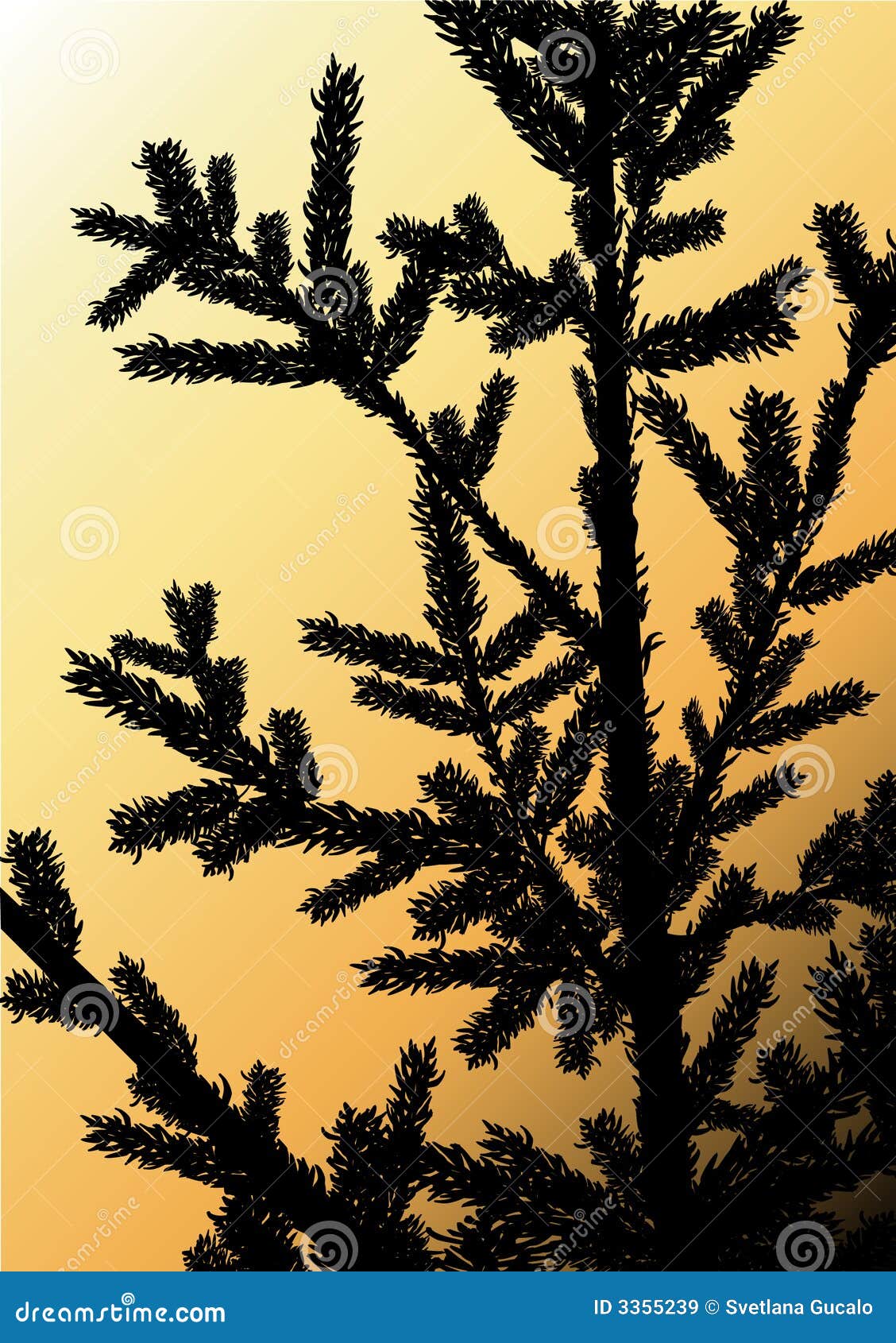 Pine tree stock vector. Illustration of plant, flower - 3355239