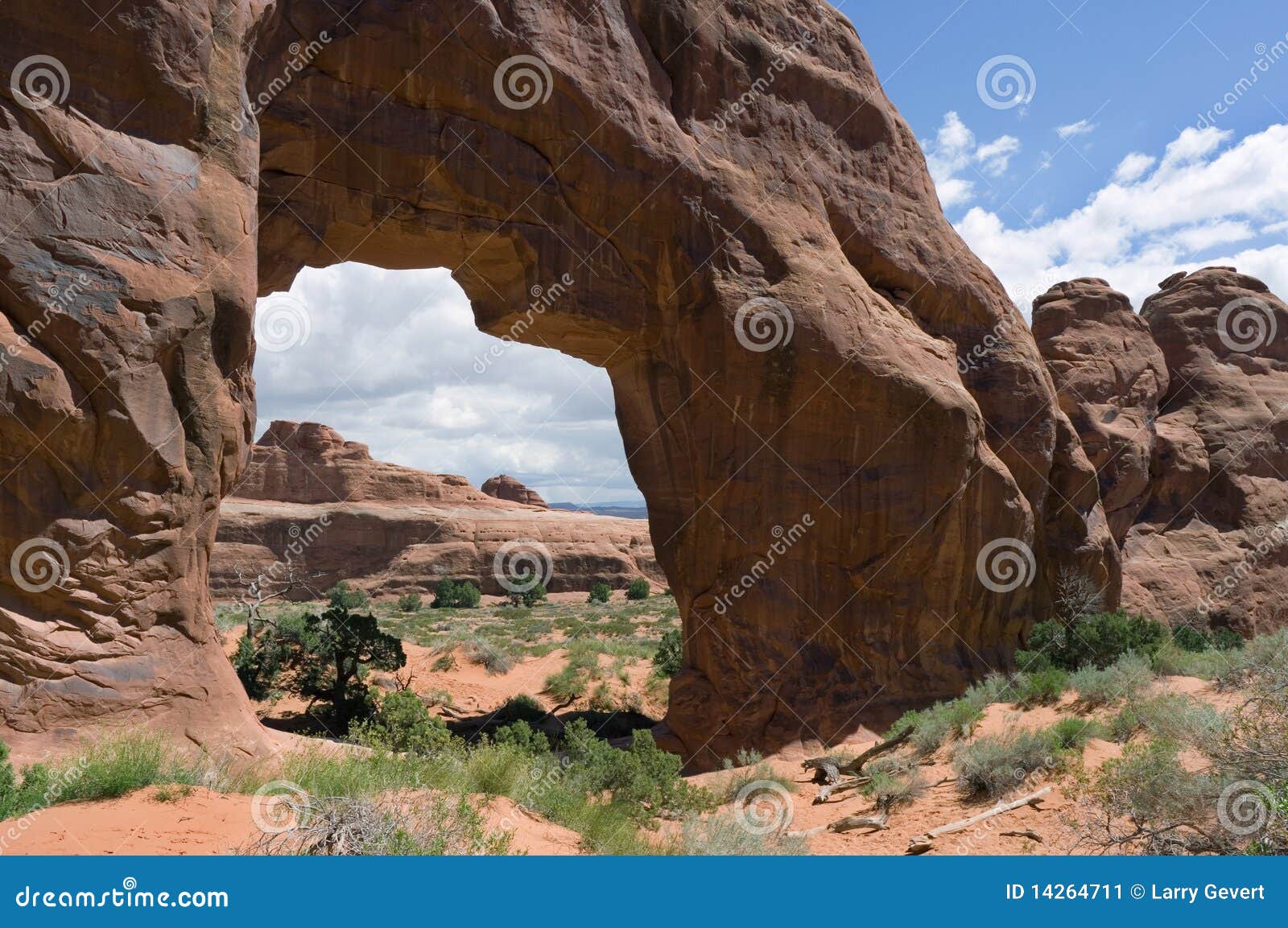 Pine Tree Arch in Arches National Park Stock Image - Image of landscape ...