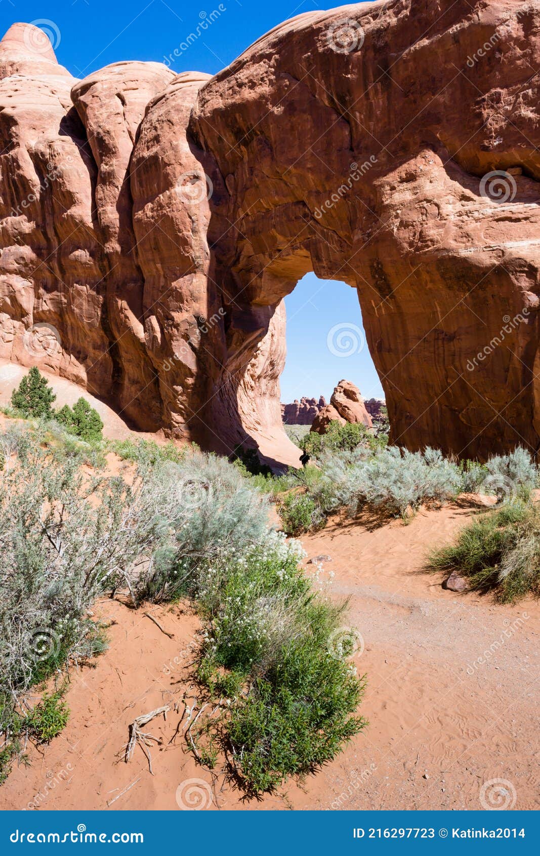 Pine Tree Arch in Arches National Park Stock Image - Image of rocky ...