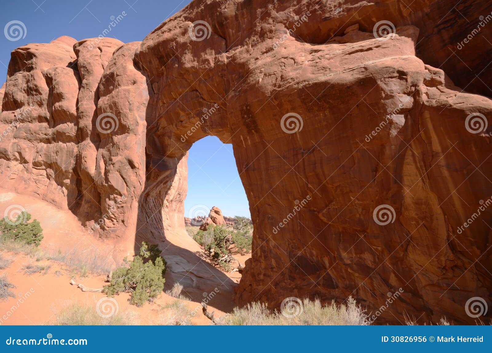 Pine Tree Arch in Arches National Park Stock Photo - Image of moab ...