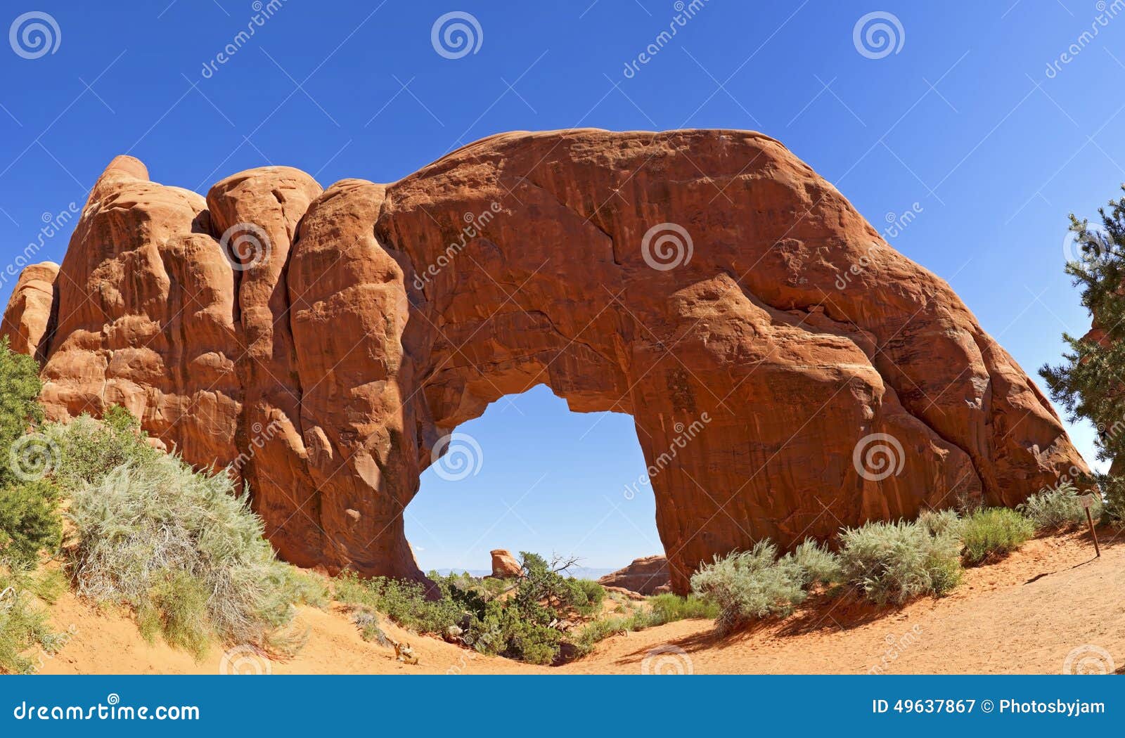 Pine Tree Arch Arches National Park Stock Image - Image of locations ...
