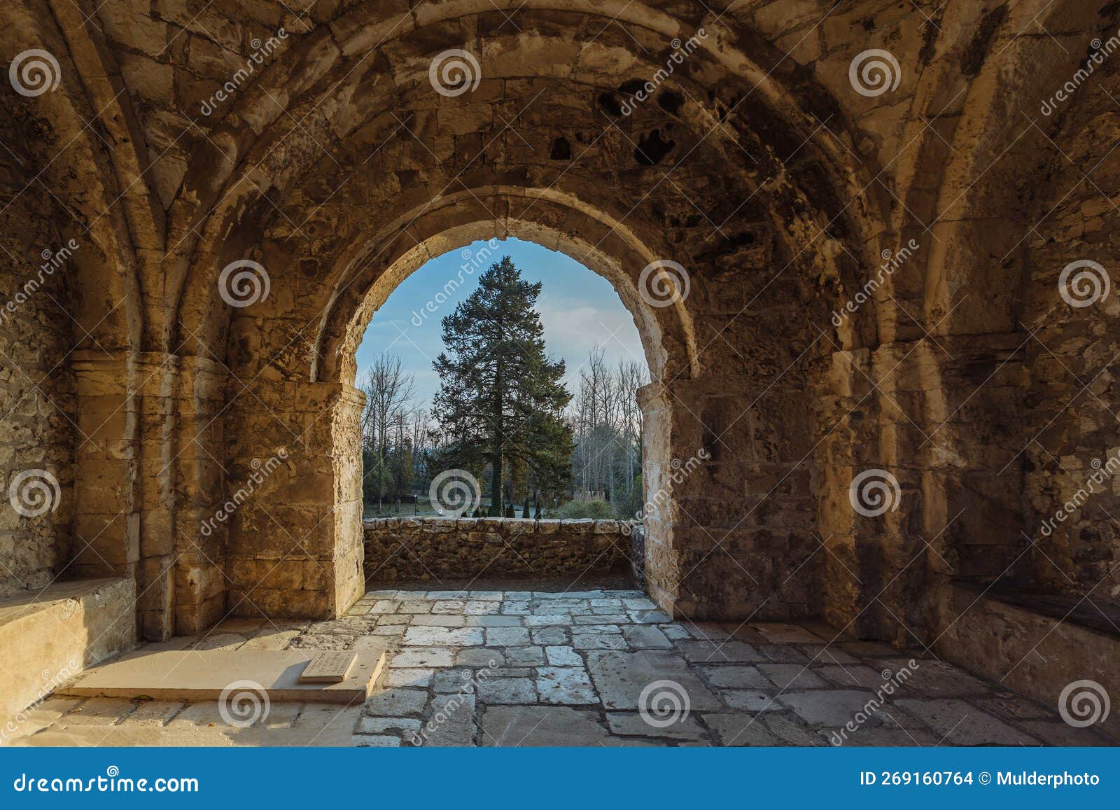 Pine Tree from Arched Corridor at Khobi Convent, Georgia Stock Photo ...