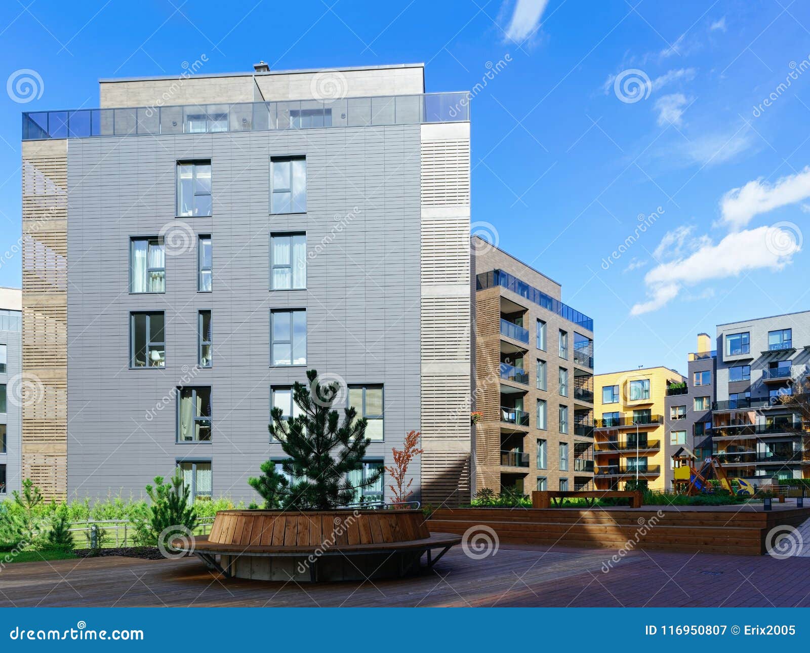 Pine Tree at Architectural Complex of Apartment Residential Building ...