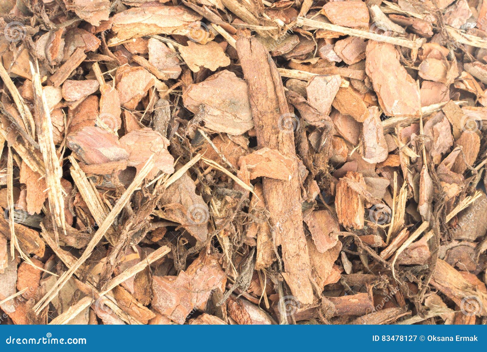 Pine Tree Bark Chip Background Texture Stock Image - Image of conifer ...