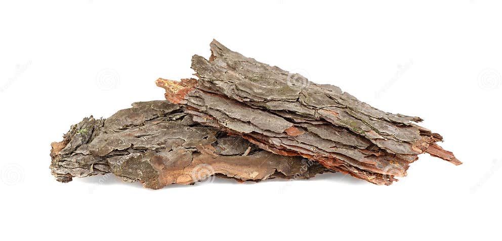 Pine Tree Bark Isolated on White Background Stock Photo - Image of ...