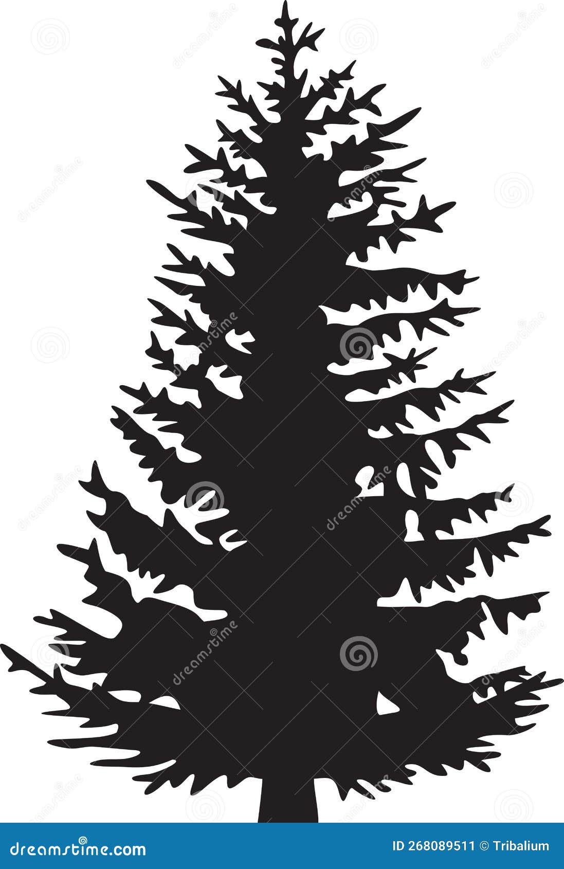 Pine Tree Black and White Vector Stock Vector - Illustration of design ...