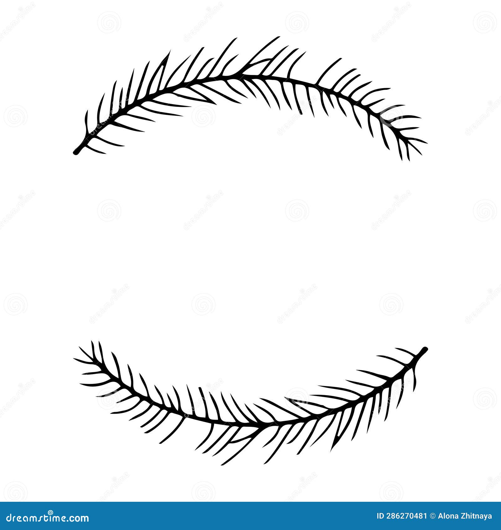 Pine Tree Branch Circle Frame in Doodle Style Isolated on White ...