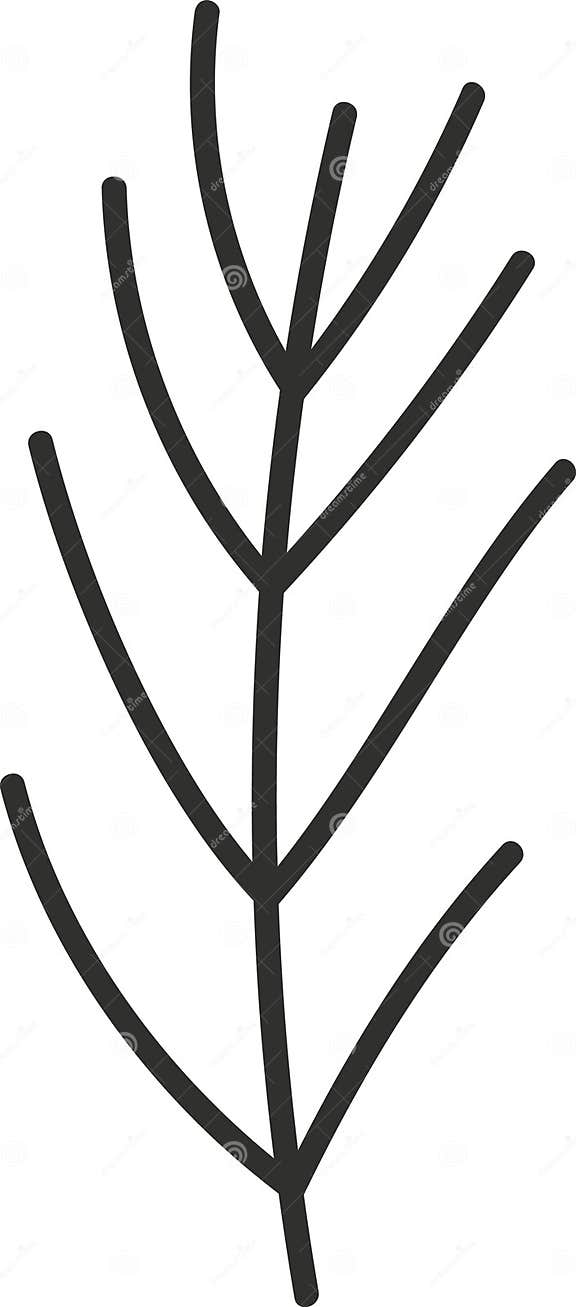 Pine Tree Branch Doodle stock vector. Illustration of drawing - 290119233