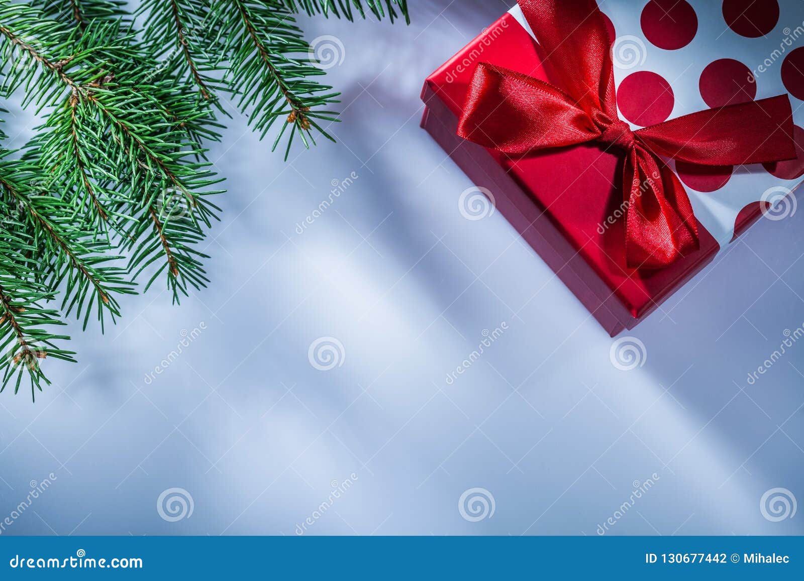 Pine Tree Branch Present Box on White Background Stock Photo - Image of ...