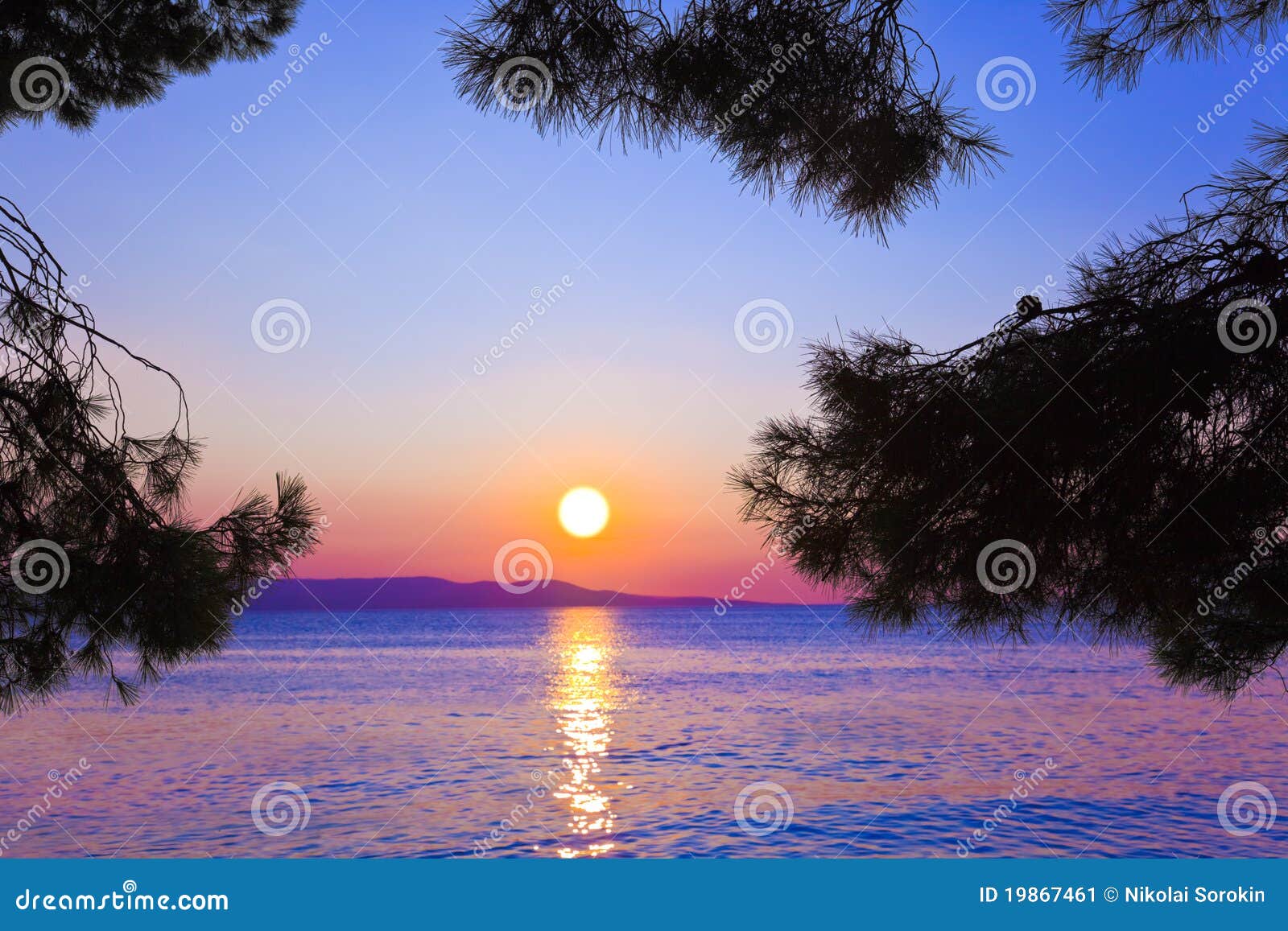 Pine Tree Branch and Sunset Stock Image - Image of coast, coastline ...