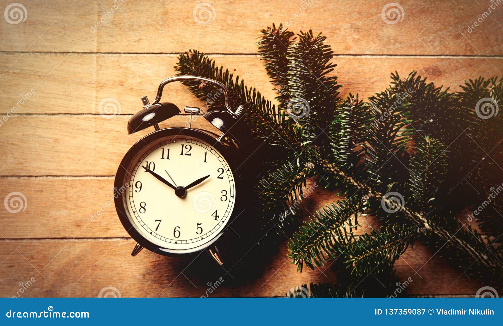 Pine Tree Branch and Vintage Alarm Clock Stock Image - Image of fresh ...