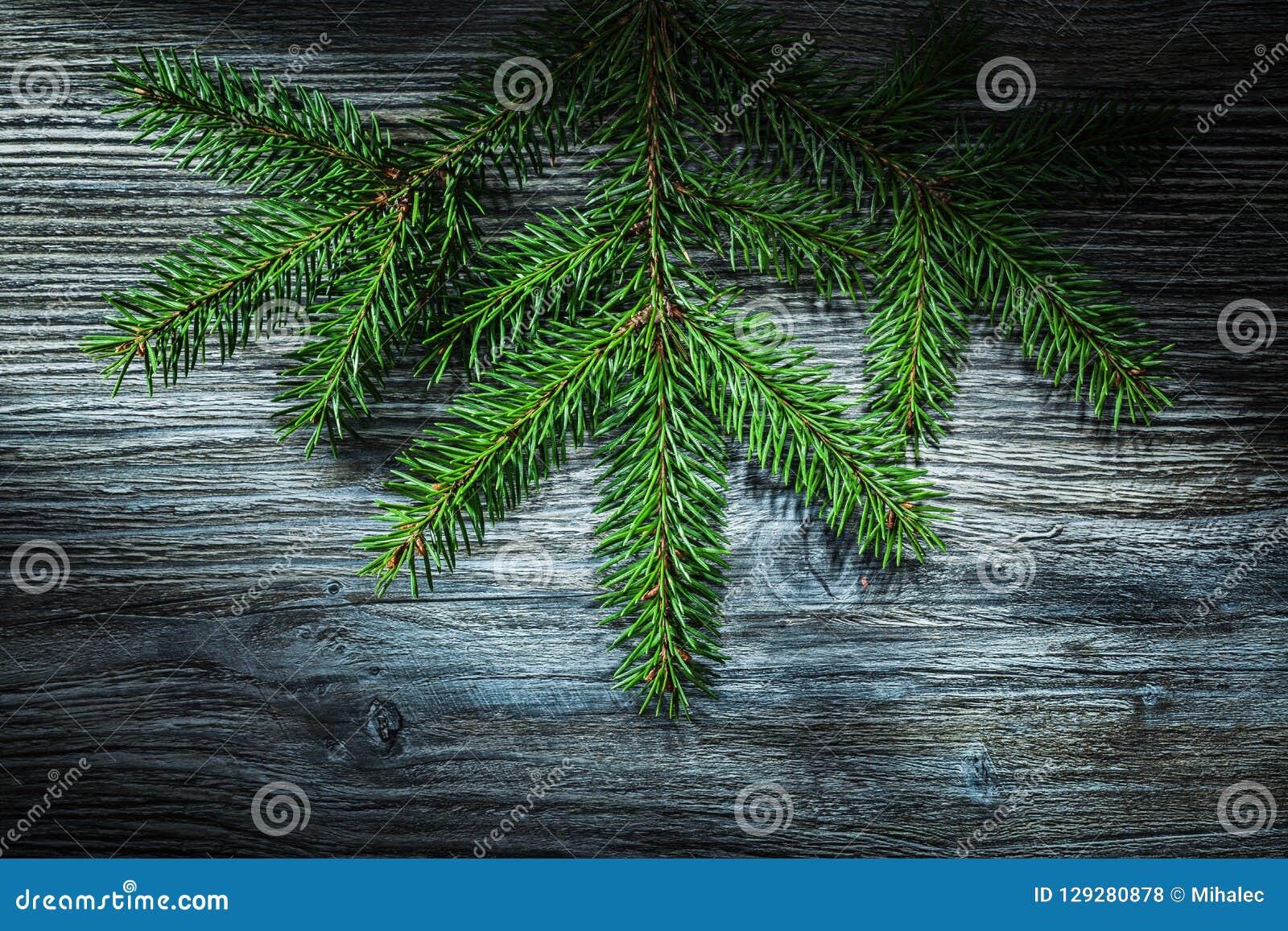 Pine Tree Branch on Wooden Board Stock Photo - Image of simplicity ...