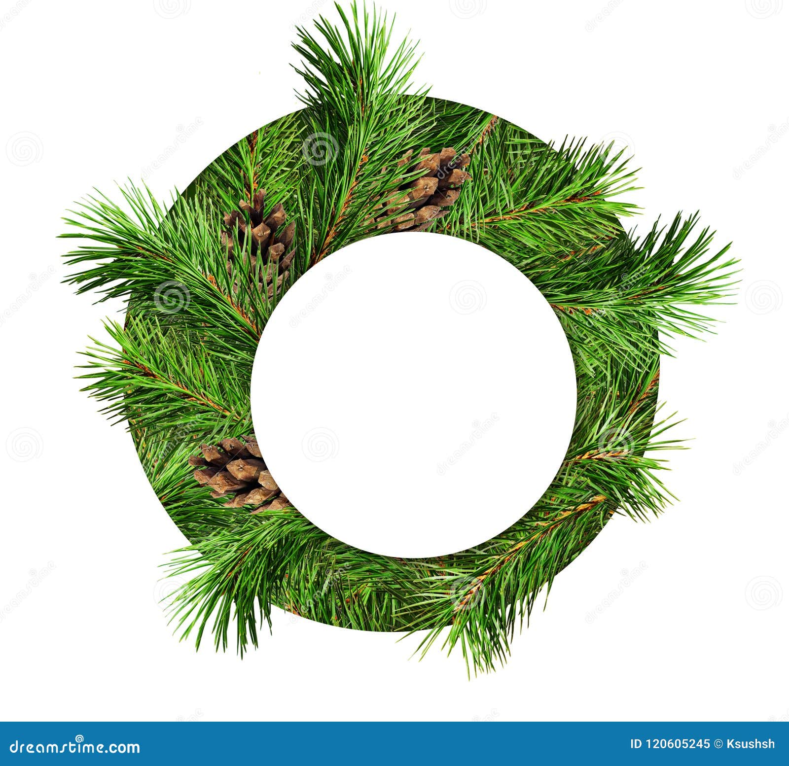 Pine Tree Branches and Cones in a Circle with Round Card for Tex Stock ...