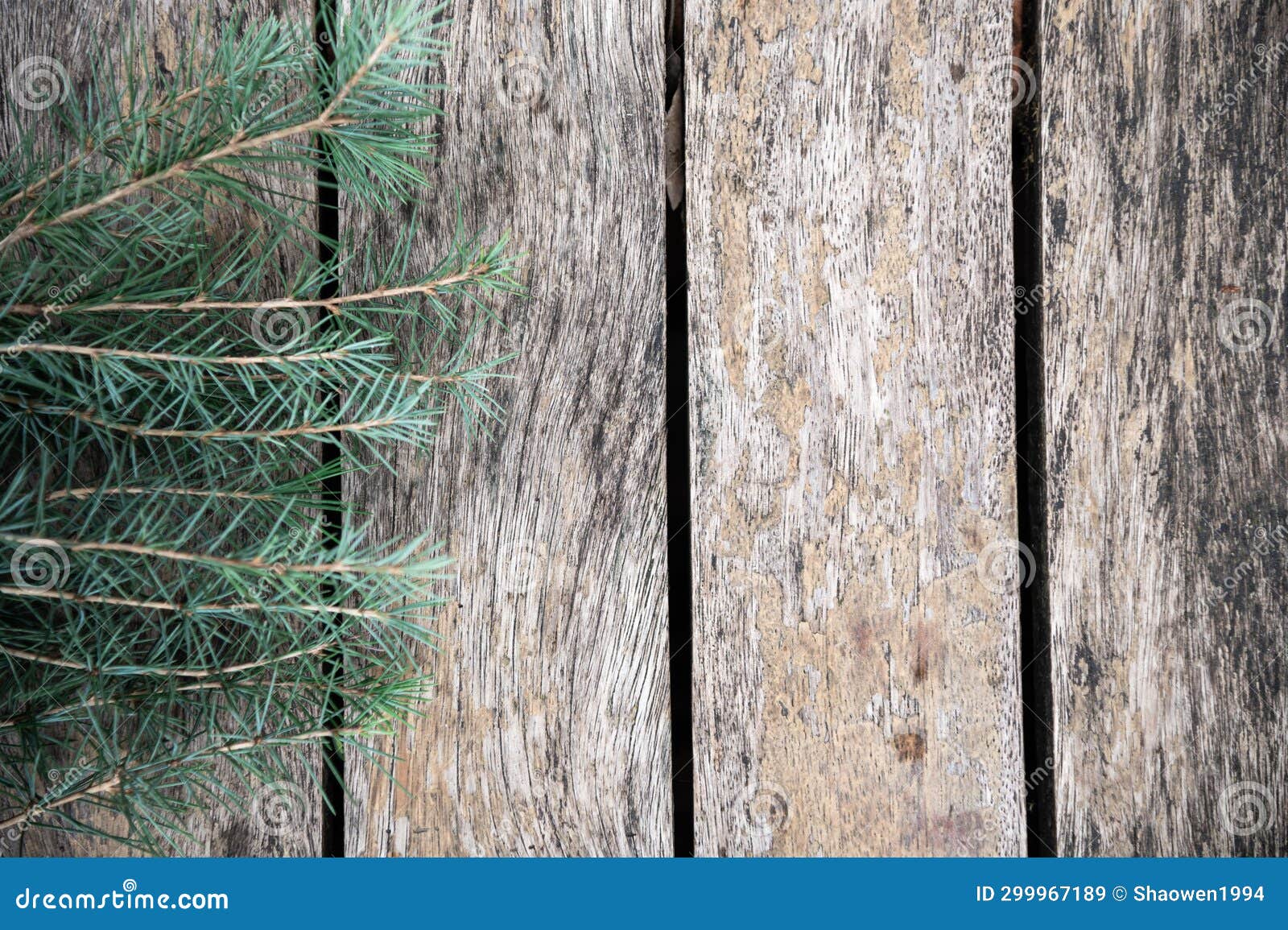 Pine Tree Branches Vintage Wood Stock Image - Image of pine, bare ...