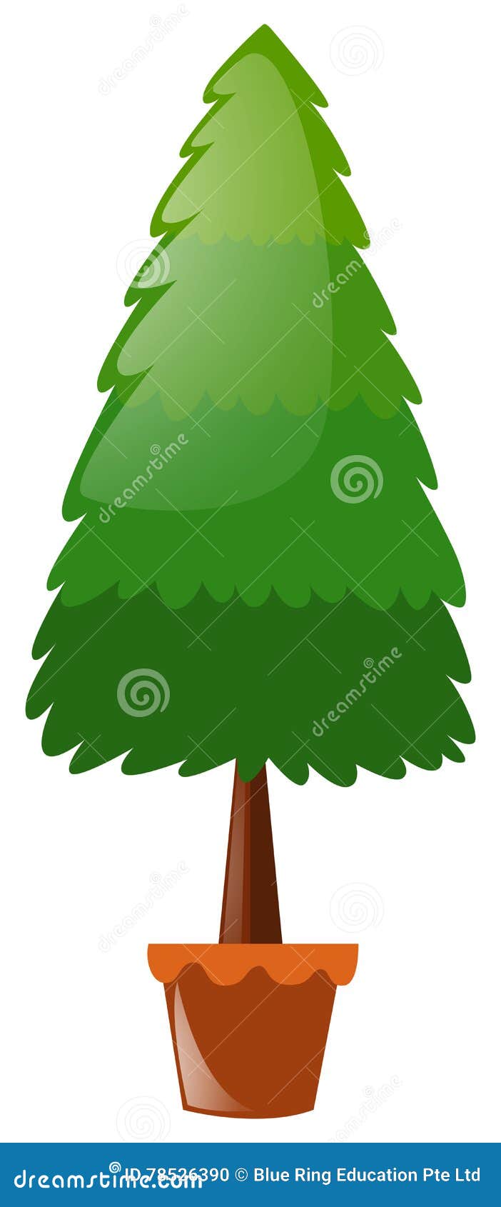 Pine Tree In Clay Pot Stock Vector Illustration Of Clip 78526390