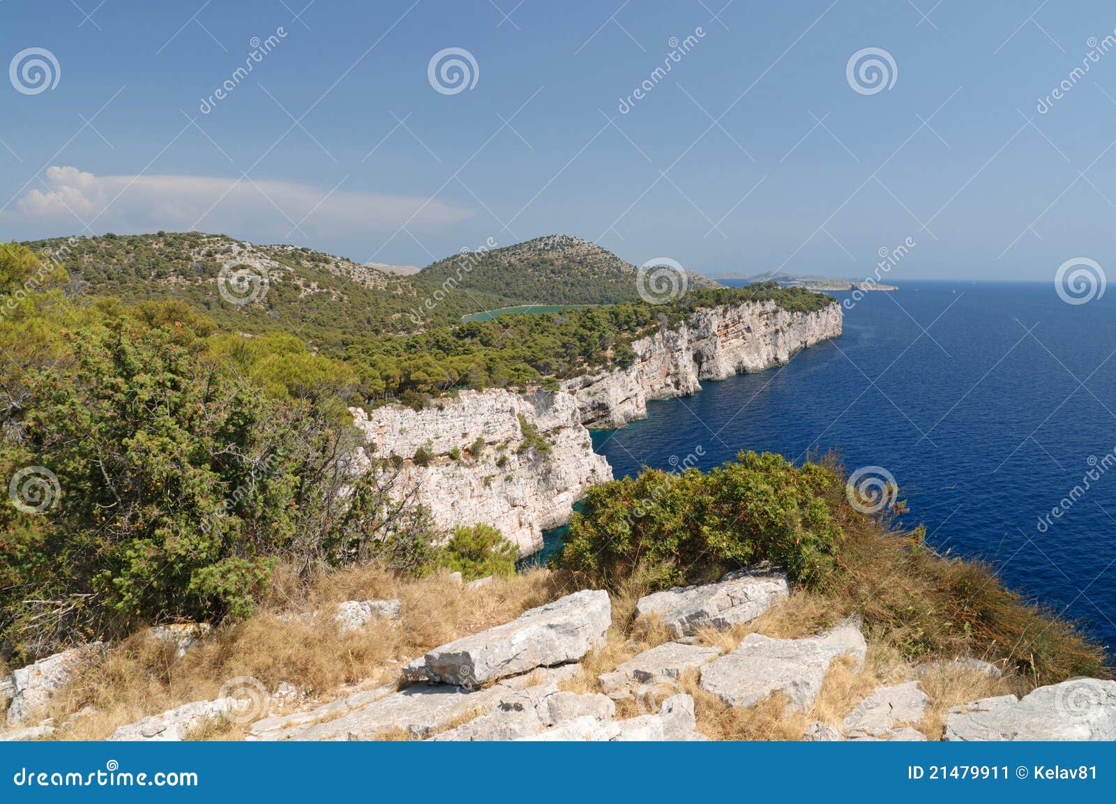 Pine tree cliffs stock image. Image of dugi, croatia - 21479911