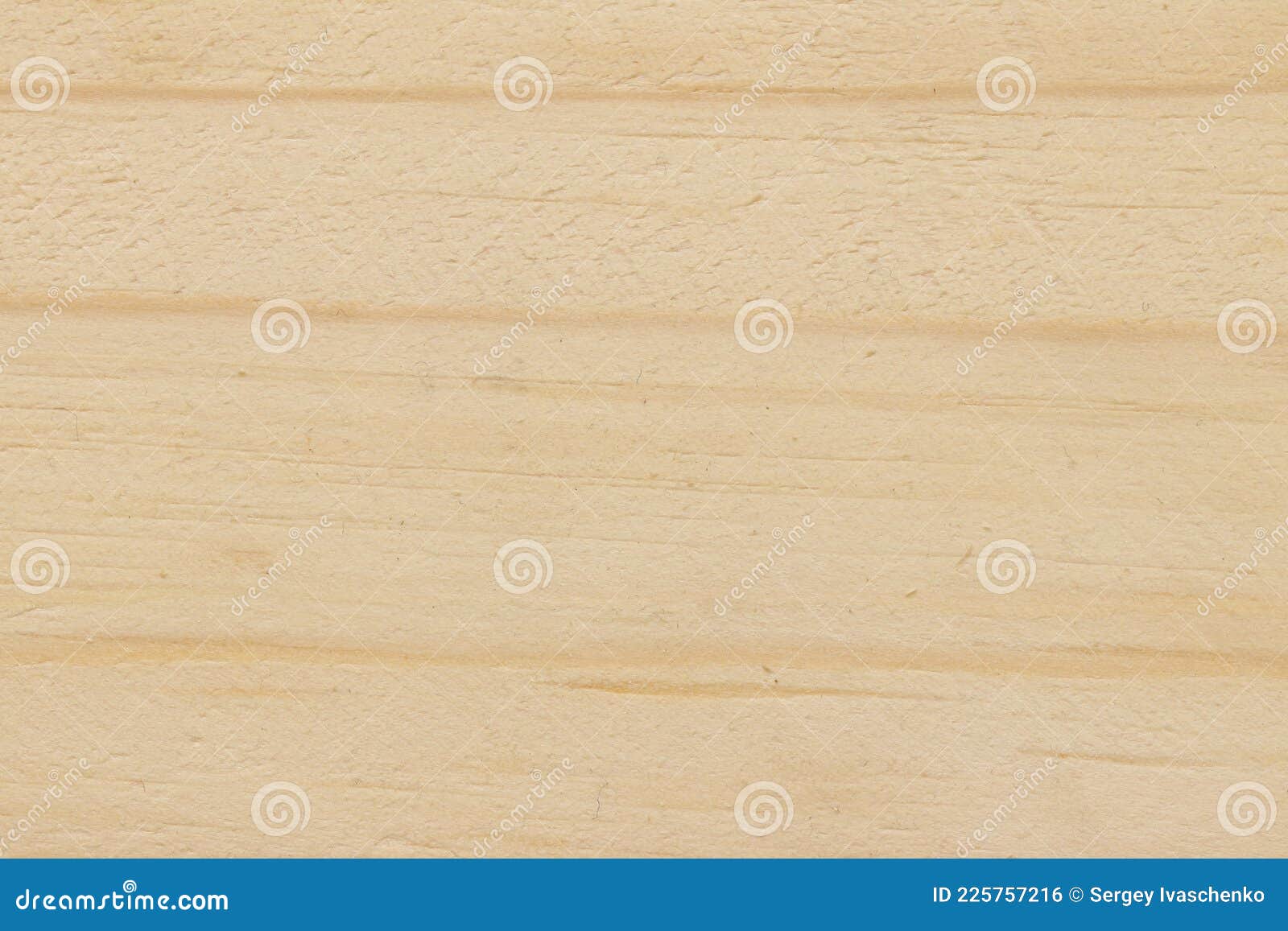 Pine tree cut texture. stock photo. Image of lumber - 225757216