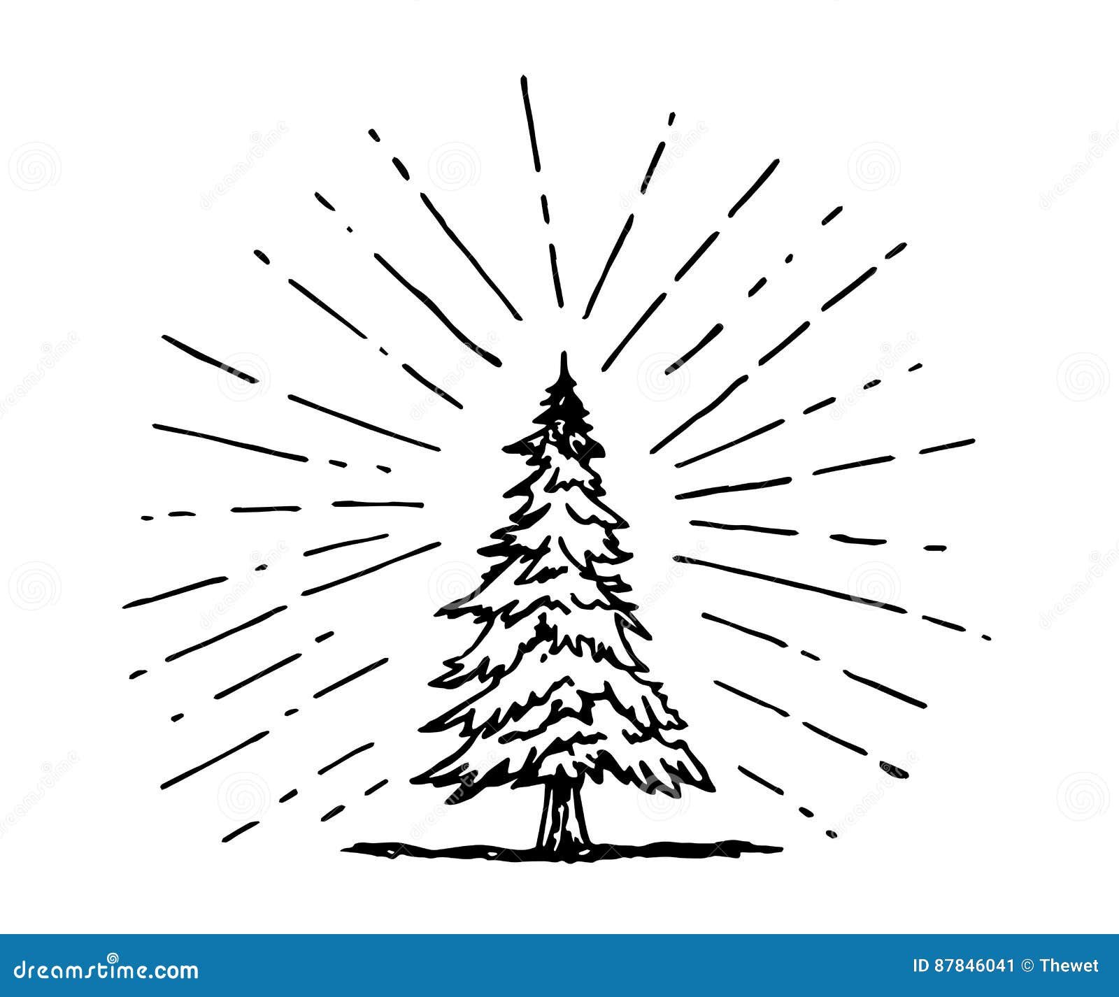 Pine Tree Drawing in Doodle Style Stock Illustration - Illustration of ...