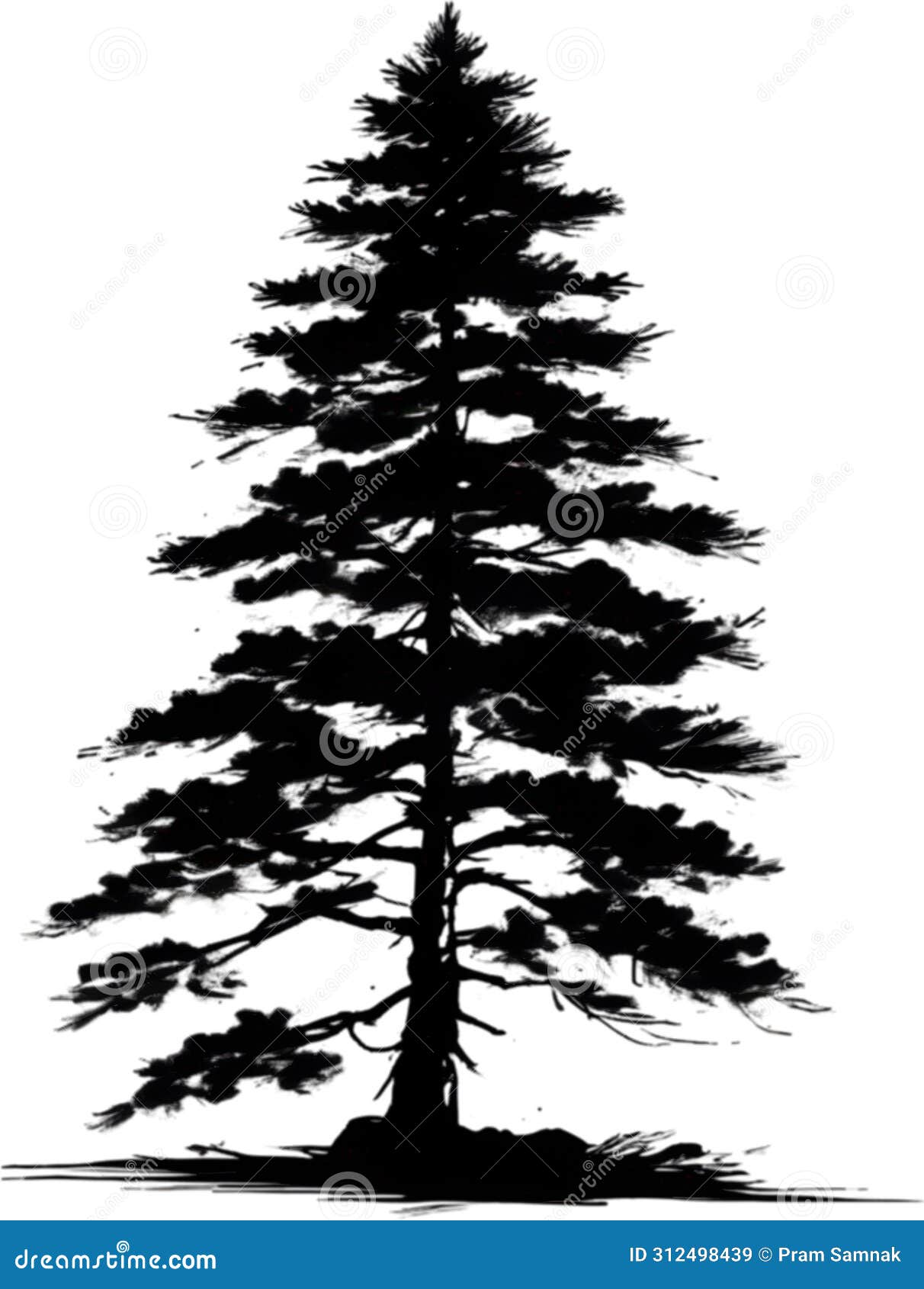 Pine Tree, Drawing of Pine Tree Using the Japanese Brushstroke ...