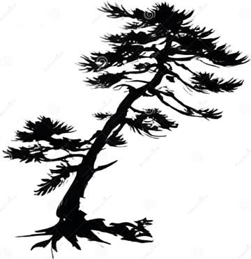 Pine Tree, Drawing of Pine Tree Using the Japanese Brushstroke ...