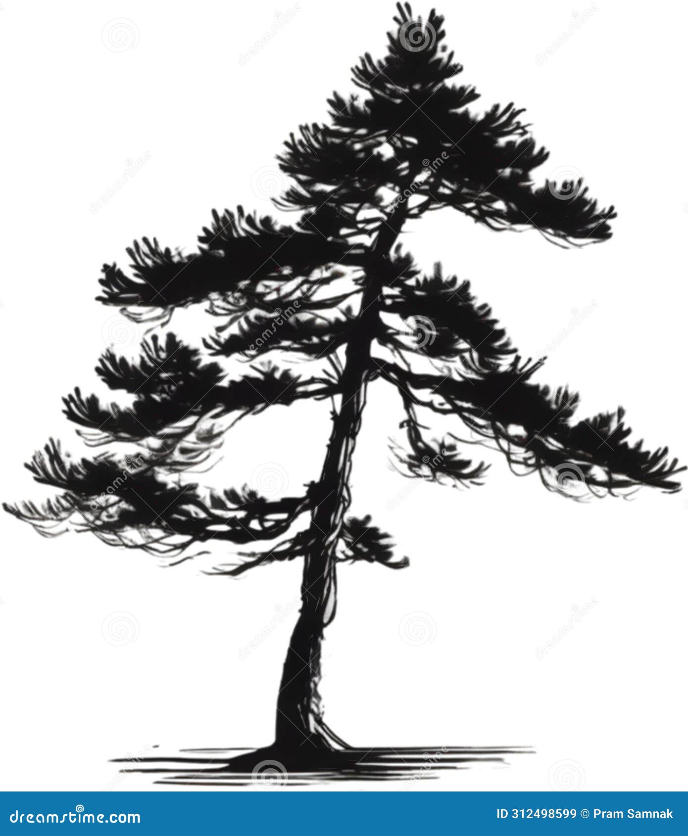 Pine Tree, Drawing of Pine Tree Using the Japanese Brushstroke ...