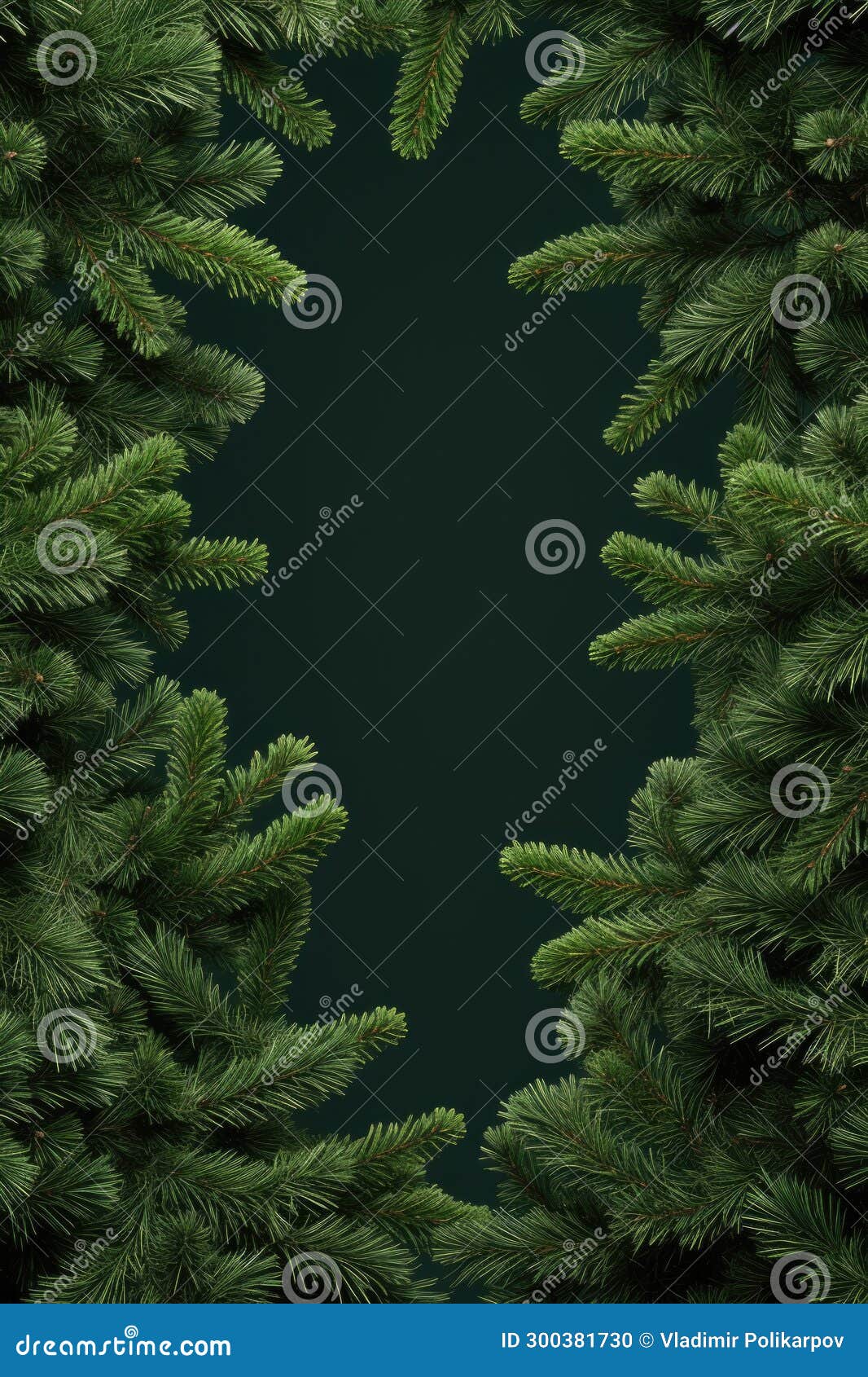 A Pine Tree Frame Against a Dark Background. Can Be Used for Nature ...