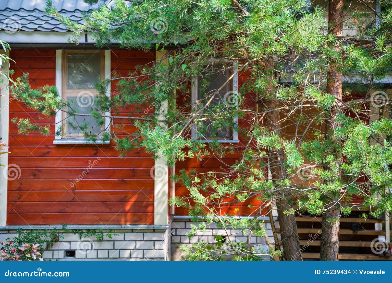 Pine Tree on Front of Little Country Cottage Stock Photo - Image of ...