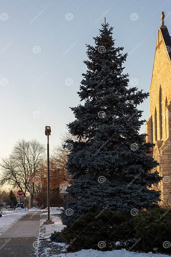 A Pine Tree in Front of a Church Stock Photo - Image of clear, winter ...