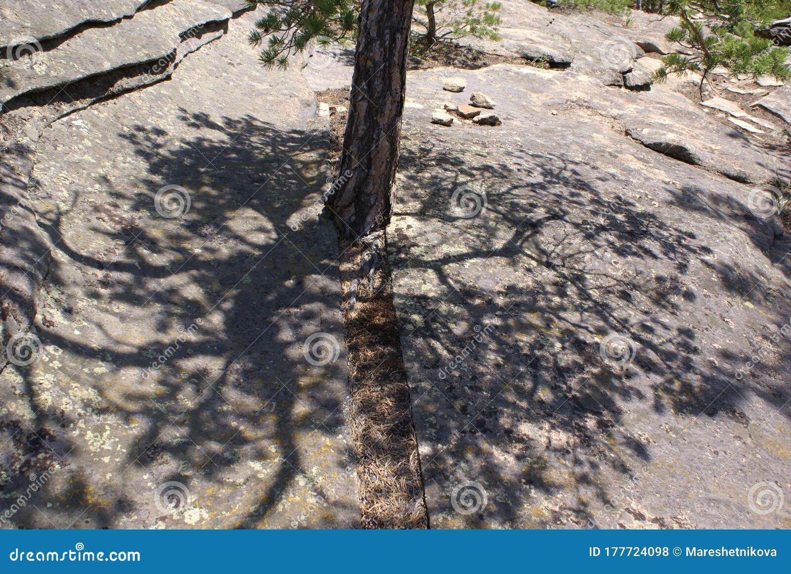 Rock With Parallel Streaks, Beautiful Stone Used For Gardening Isolated ...