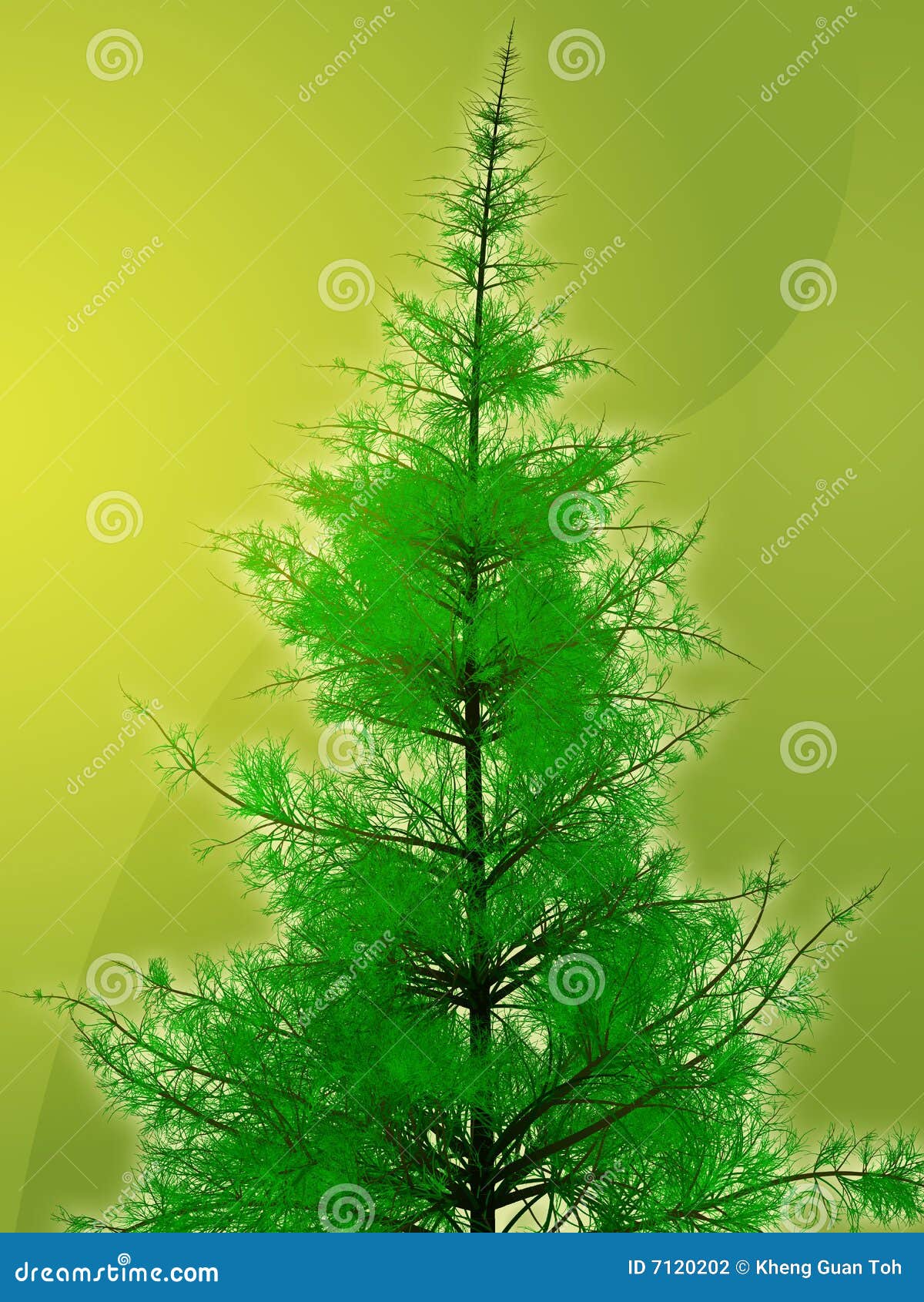 Pine tree illustration stock illustration. Illustration of abstract ...