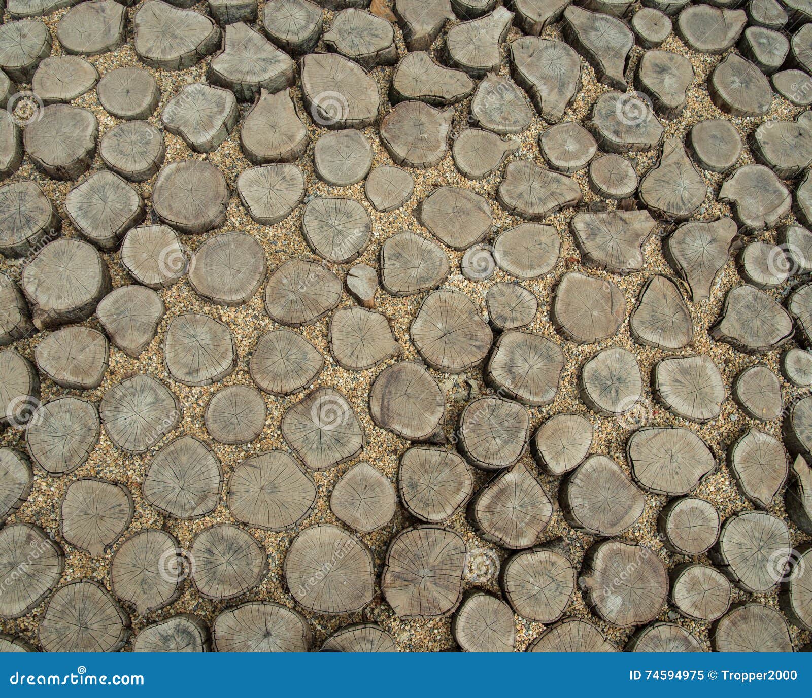 Pine tree log. stock image. Image of pile, nature, aging - 74594975