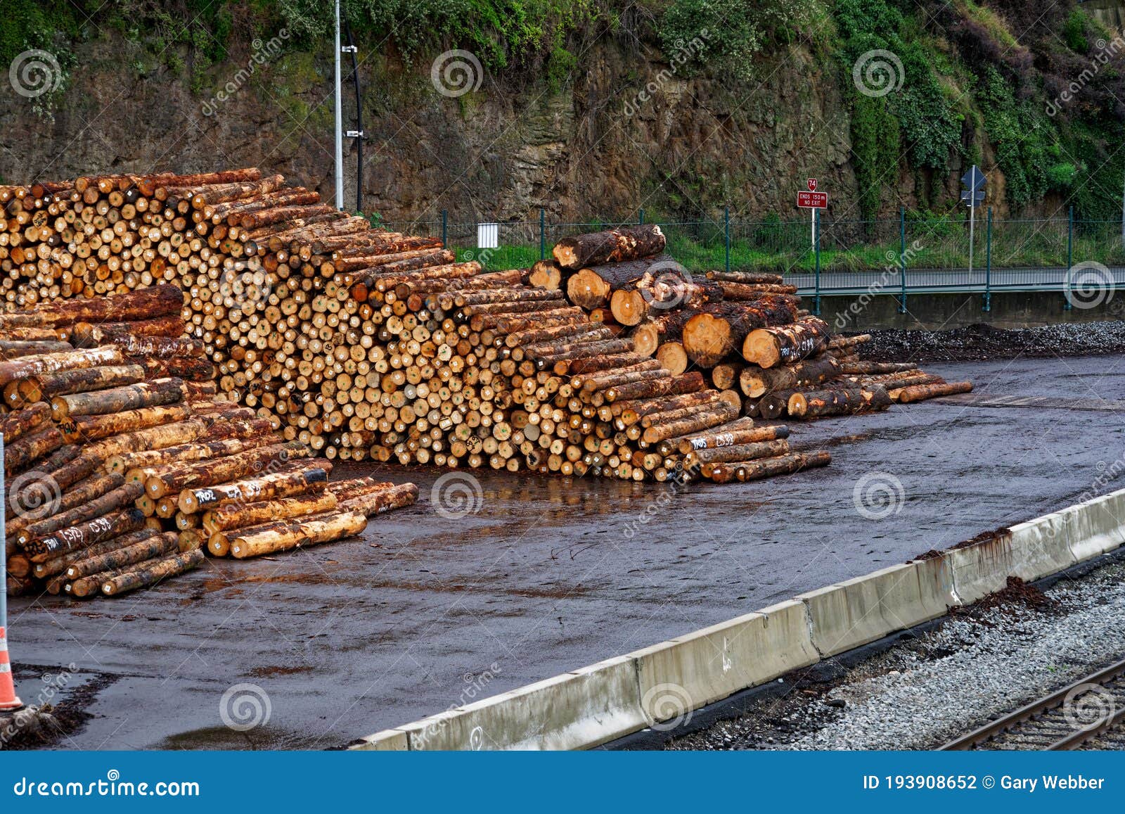 Pine Tree Logs at Lyttelton Harbour, Lyttelton, New Zealand Stock Photo ...
