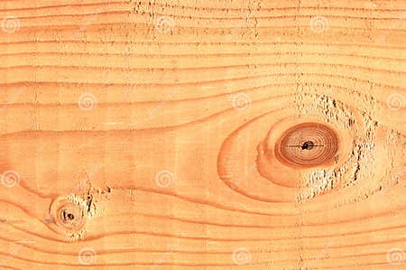 Pine Tree Lumber Macro stock photo. Image of tree, environment - 1670436