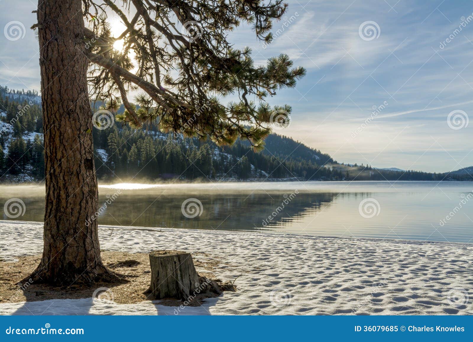 Pine Tree and Mountain Lake in the Winter Stock Image - Image of lake ...