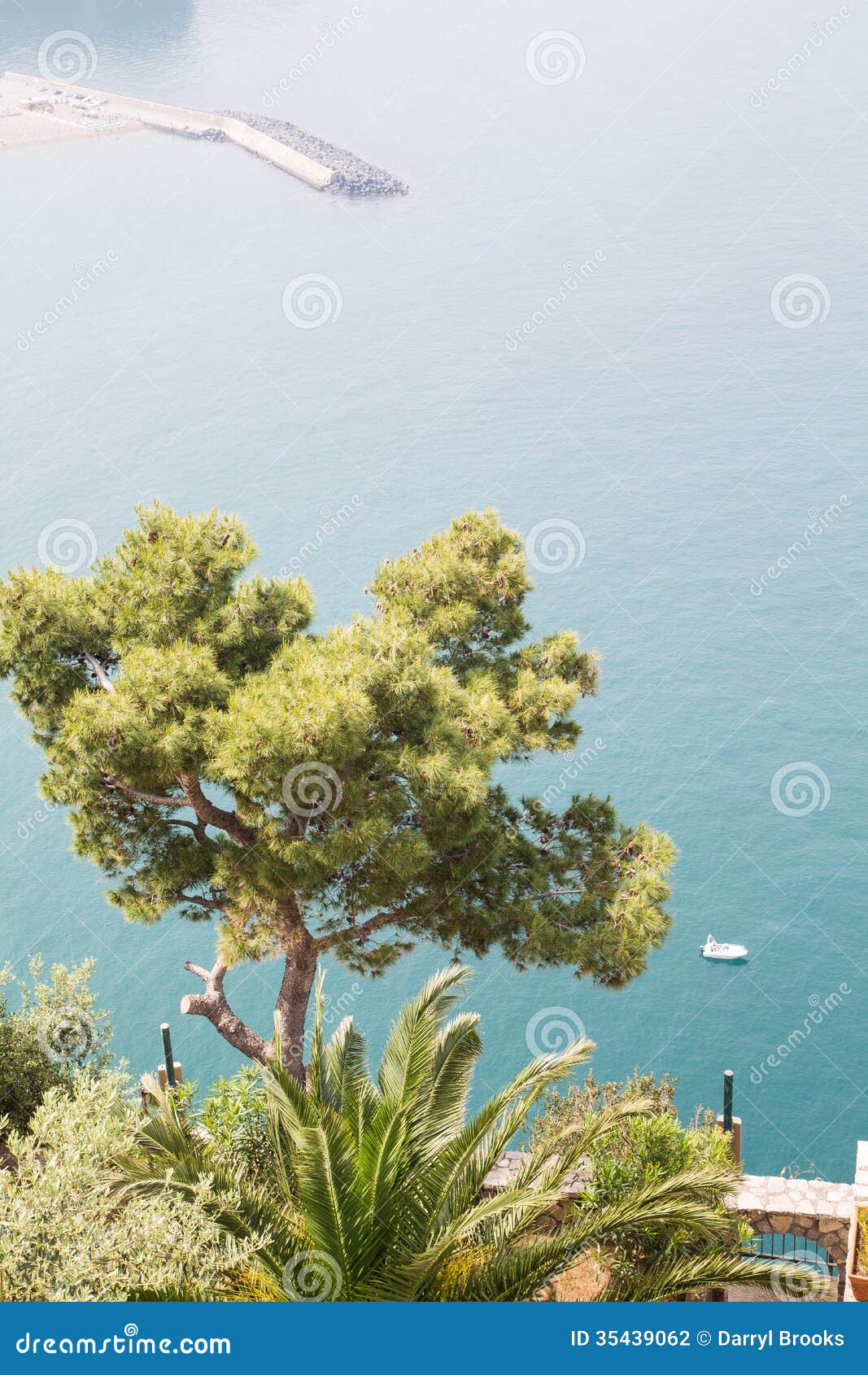 Pine Tree Over Amalfi Coast Stock Photo - Image of view, amalfi: 35439062