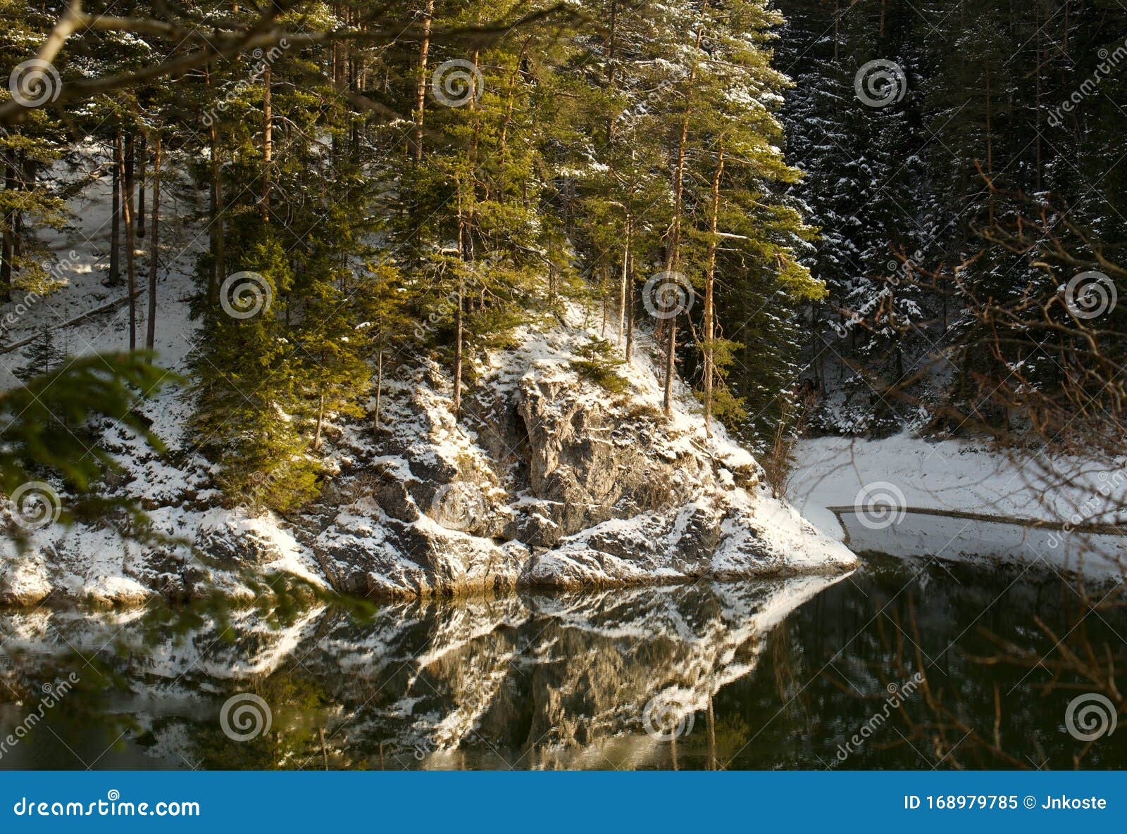 Pine Tree on Rock with Reflection in Water in Winter Stock Image ...