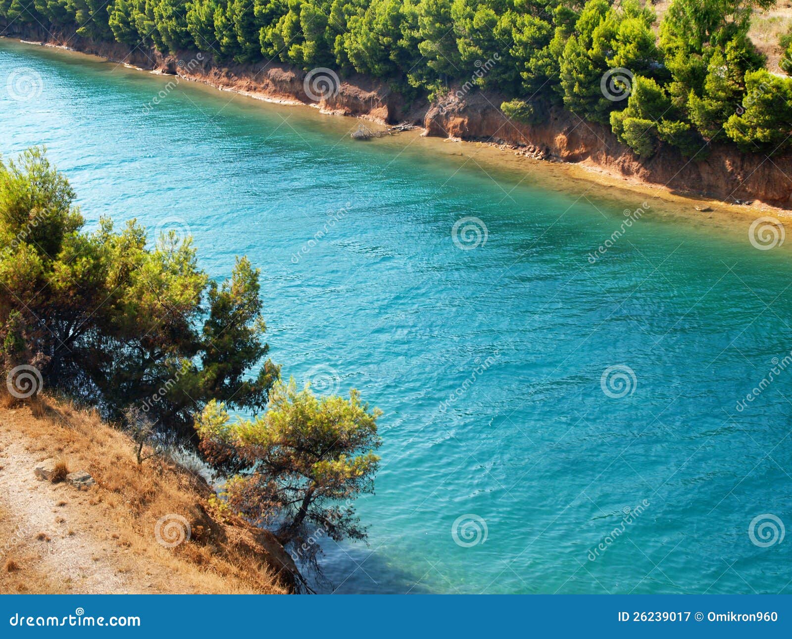 Pine tree and sea stock image. Image of landscape, potidaia - 26239017