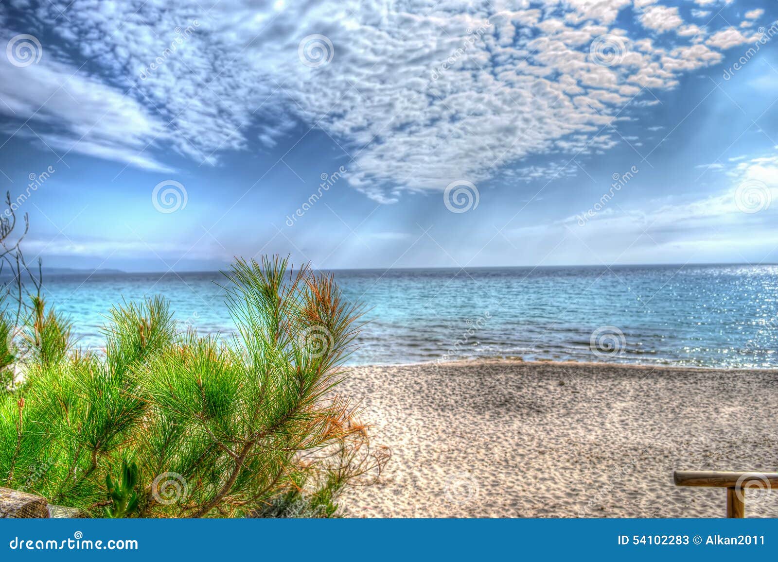 Pine Tree by the Shore in Le Bombarde Beach Stock Image - Image of ...